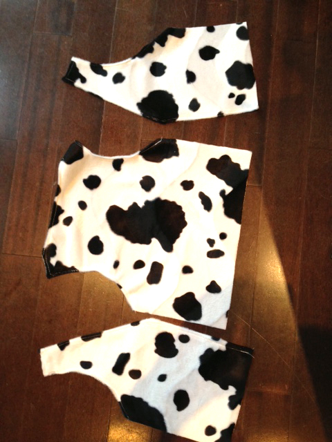 Toy Story Woody | Halloween Costume | themotherboards